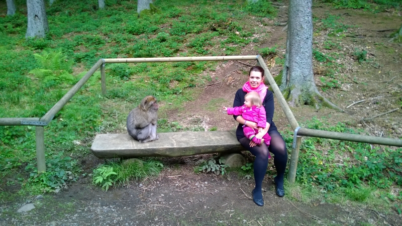 Ausflugstest: Wildpark Daun in der Eifel